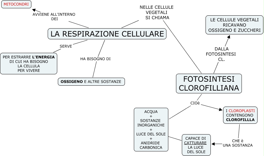SCIENZE LA CELLULA - Mappa Concettuale