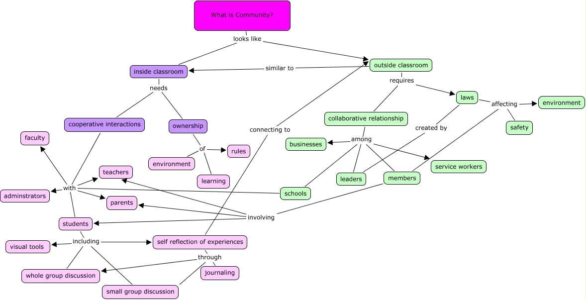 Integrated Concept Map - What is does community look like?