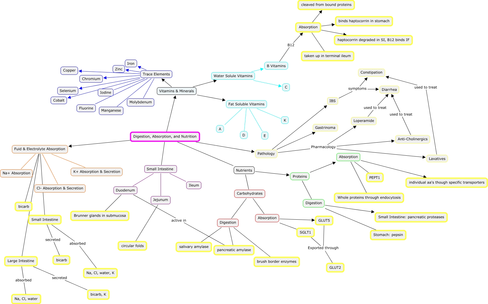 Digestion, Absorption, and Nutrition - Week 4 GI