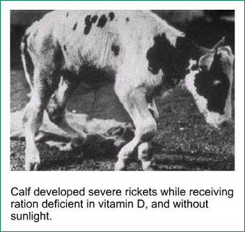 IHMC Public Cmaps (3)