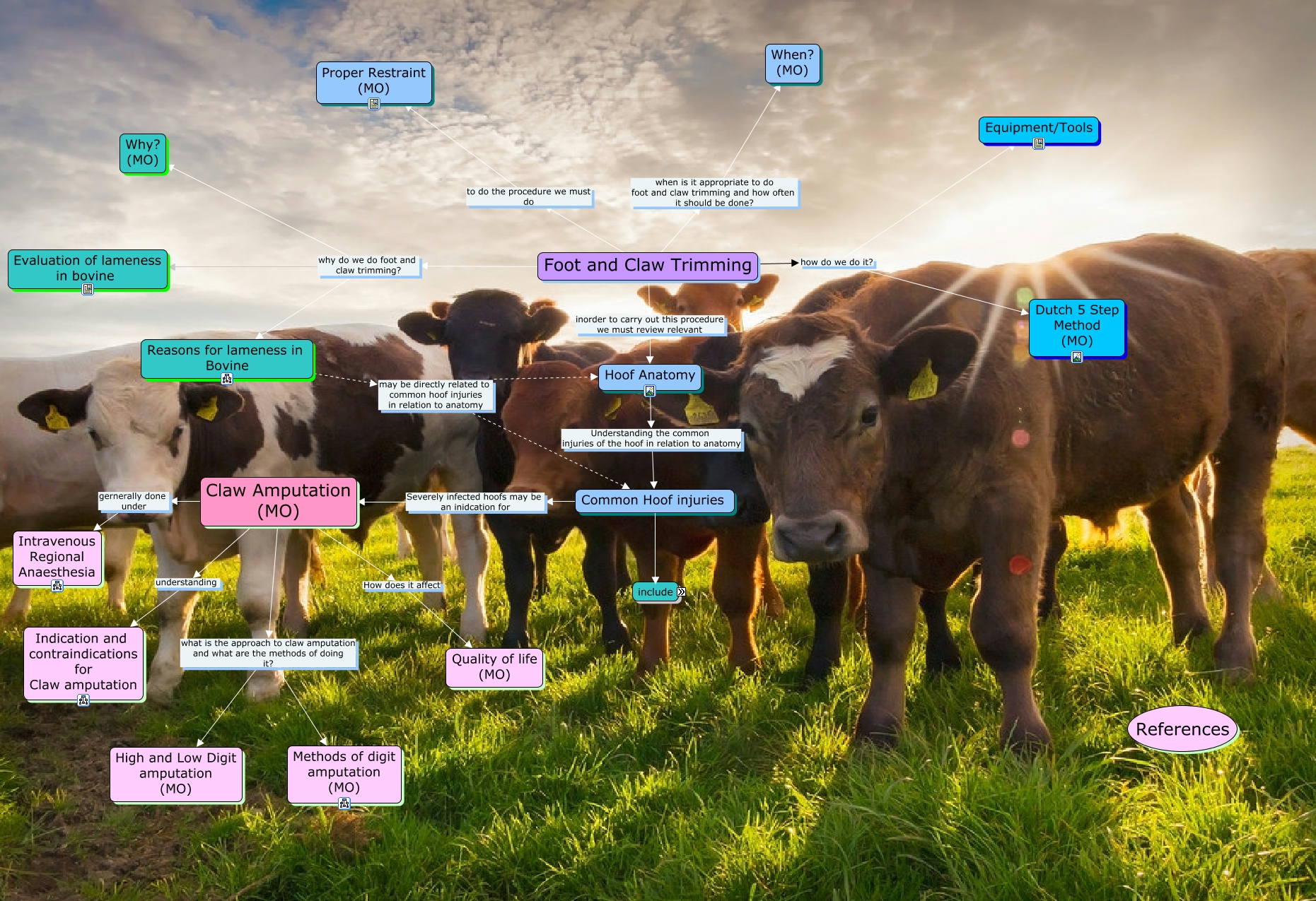 Foot and Claw Trimming