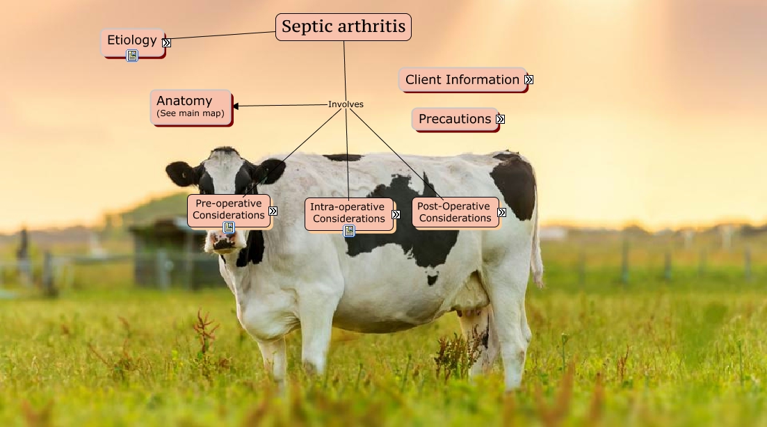 Septic Arthritis Case 2