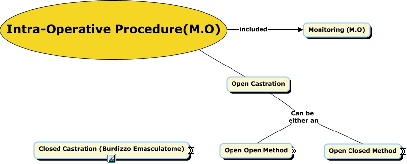 Intra-Operation